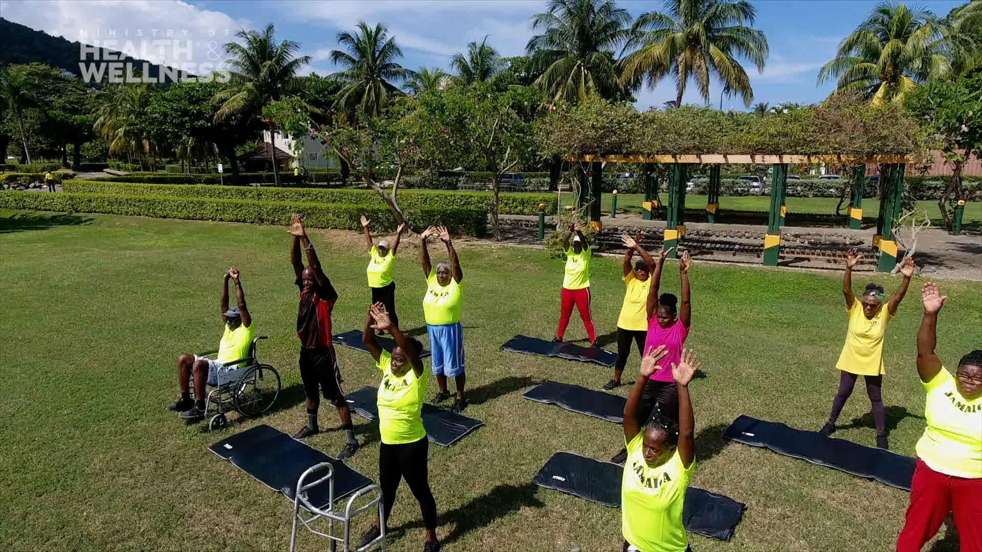 Physical Activity - Non-Communicable Disease & Injury Prevention and ...