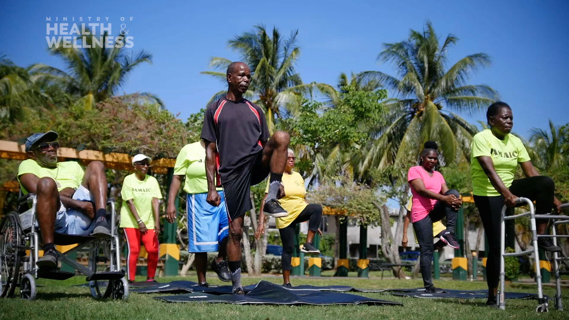 Physical Activity - Non-Communicable Disease & Injury Prevention and ...