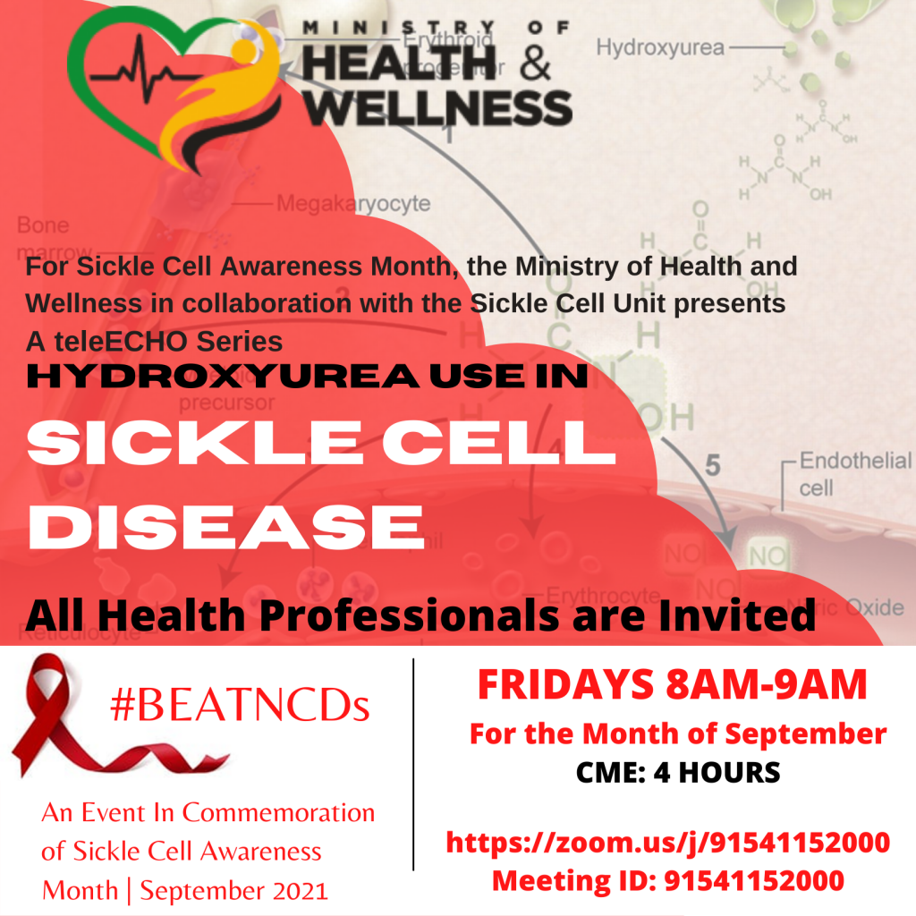 Sickle Cell Awareness - Non-Communicable Disease & Injury Prevention ...